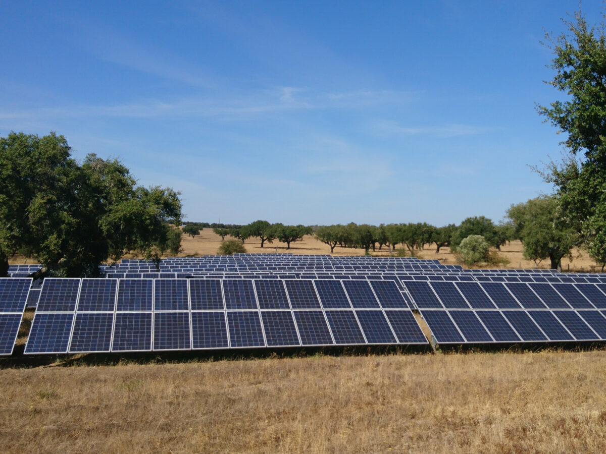 Lobosolar, Energias Renováveis, Lda – Website da Lobosolar