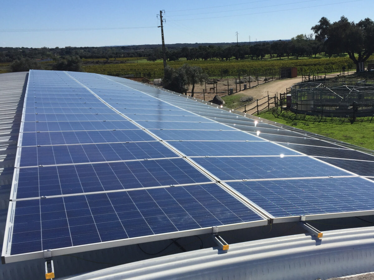 Lobosolar, Energias Renováveis, Lda – Website da Lobosolar